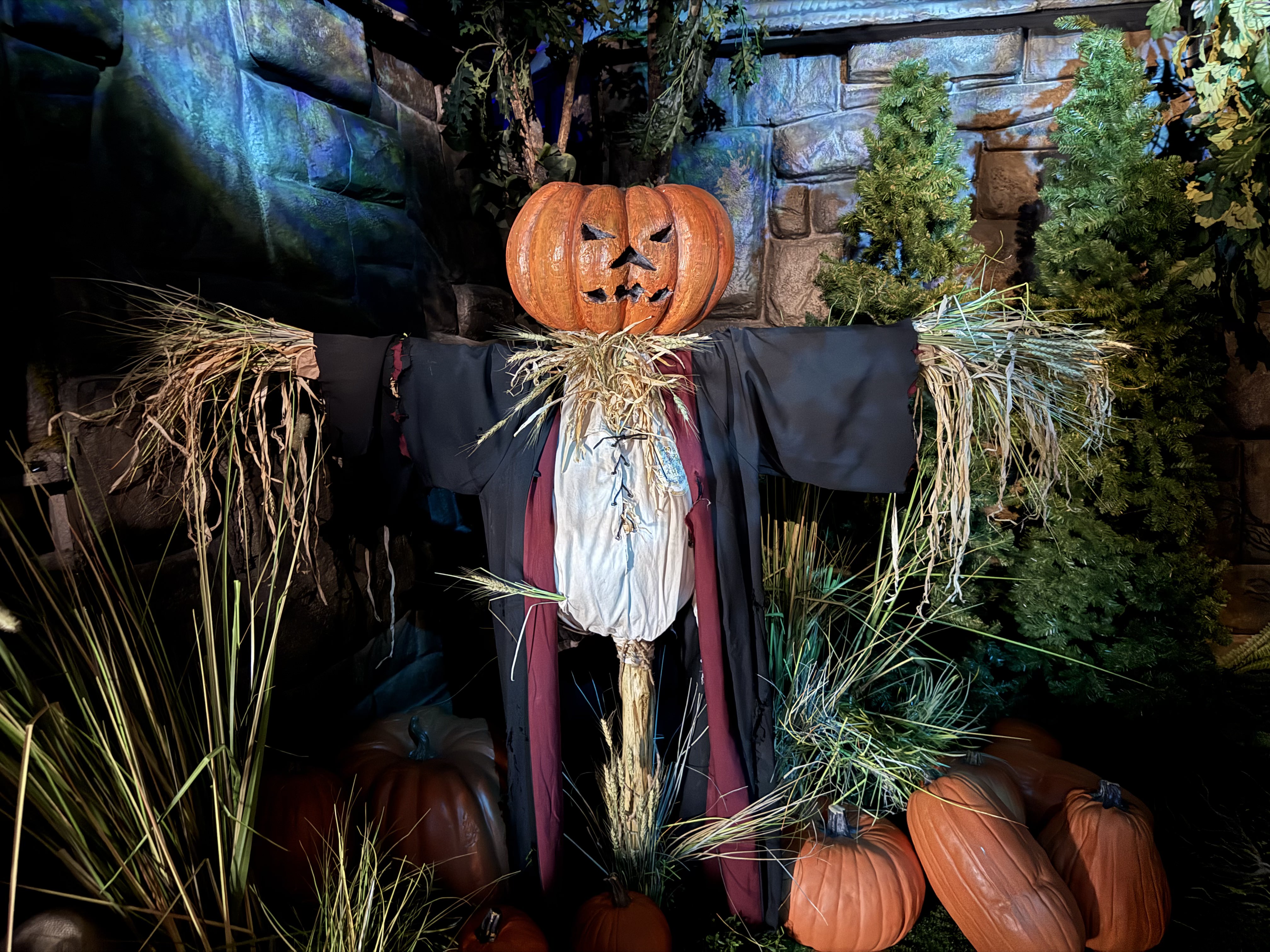Dallas Harry Potter: The Exhibition Pop-Up Is Now Open