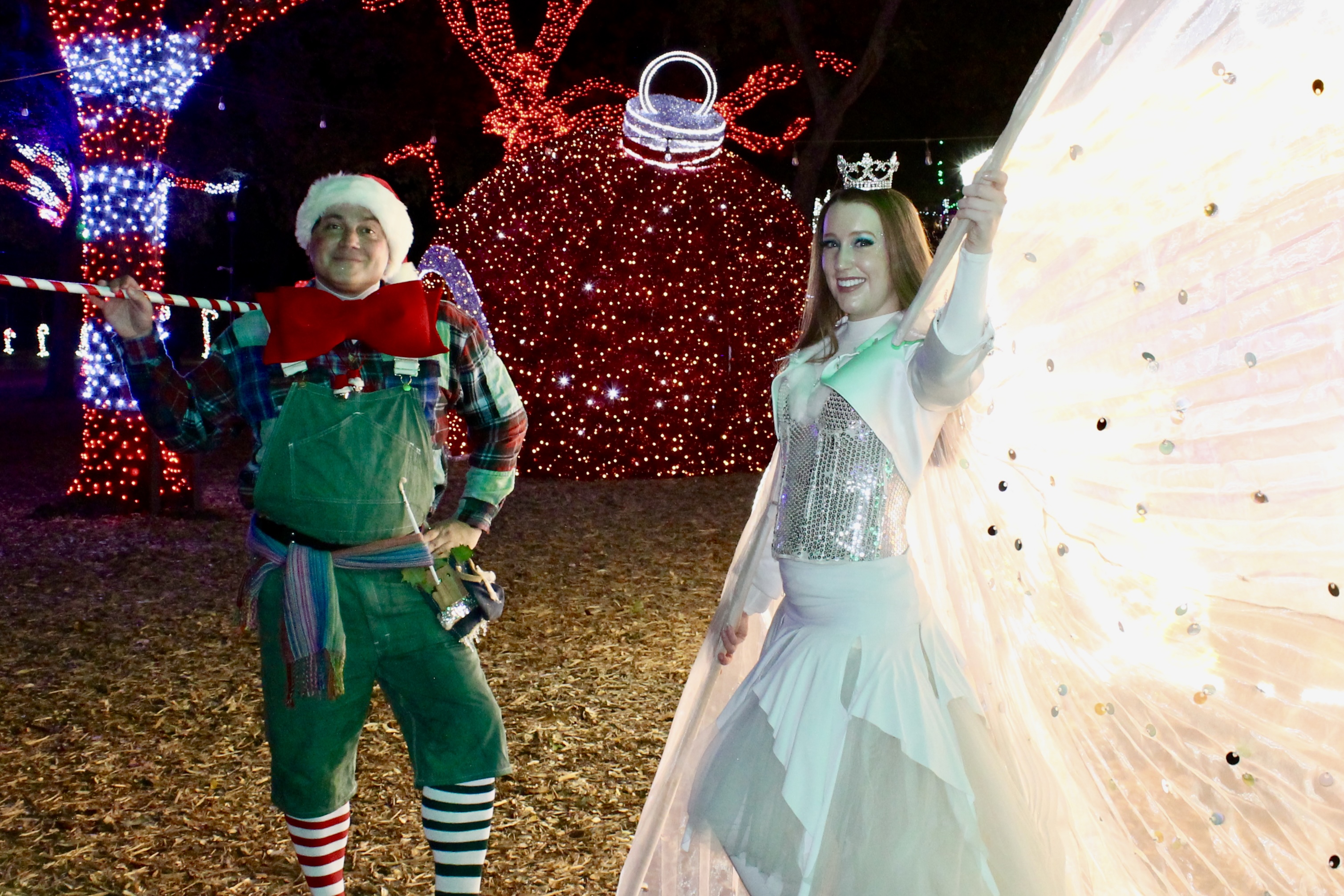 Dallas Zoo Opens 9th Year of Holiday Lights Show | Dallas Observer