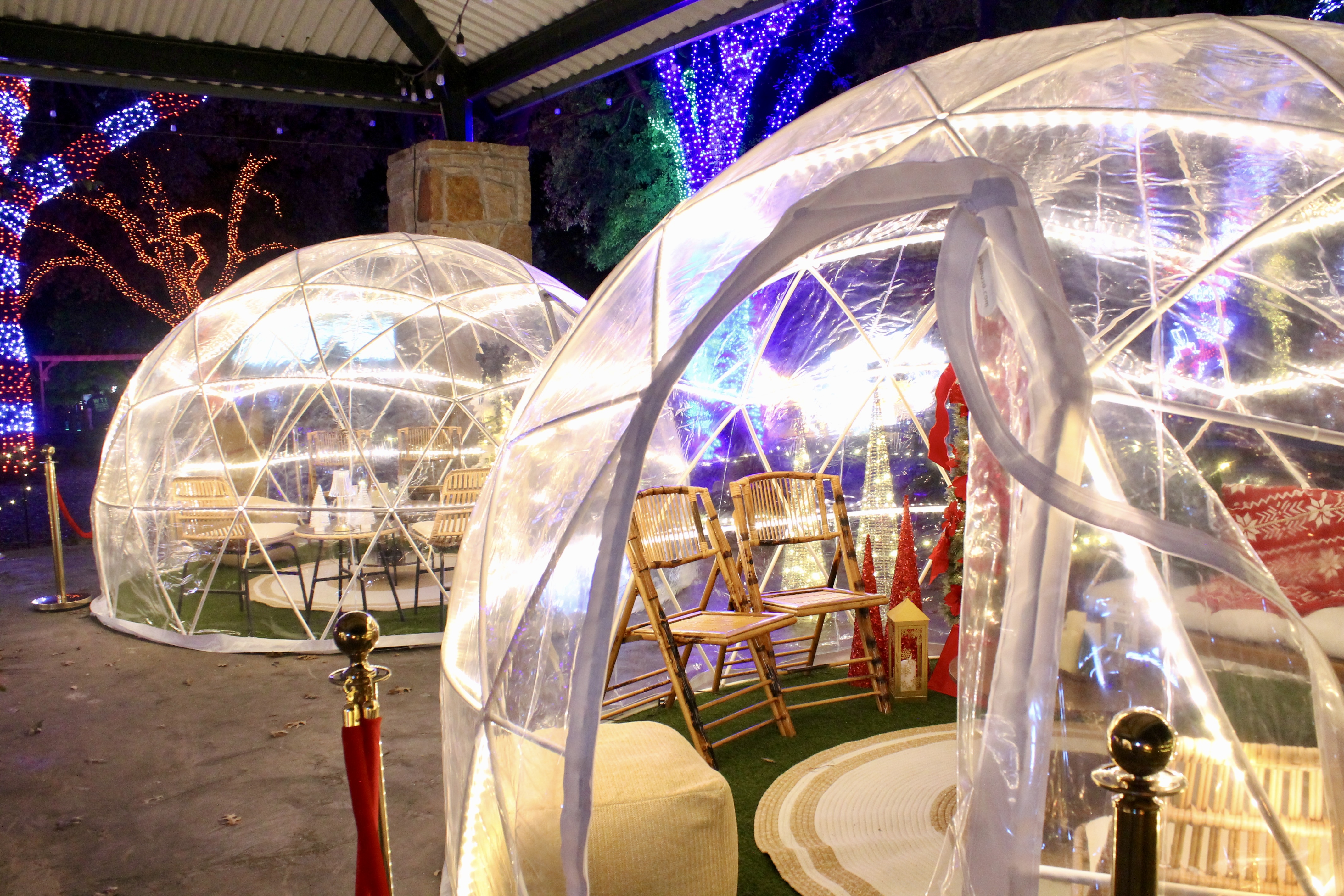 Dallas Zoo Opens 9th Year of Holiday Lights Show | Dallas Observer