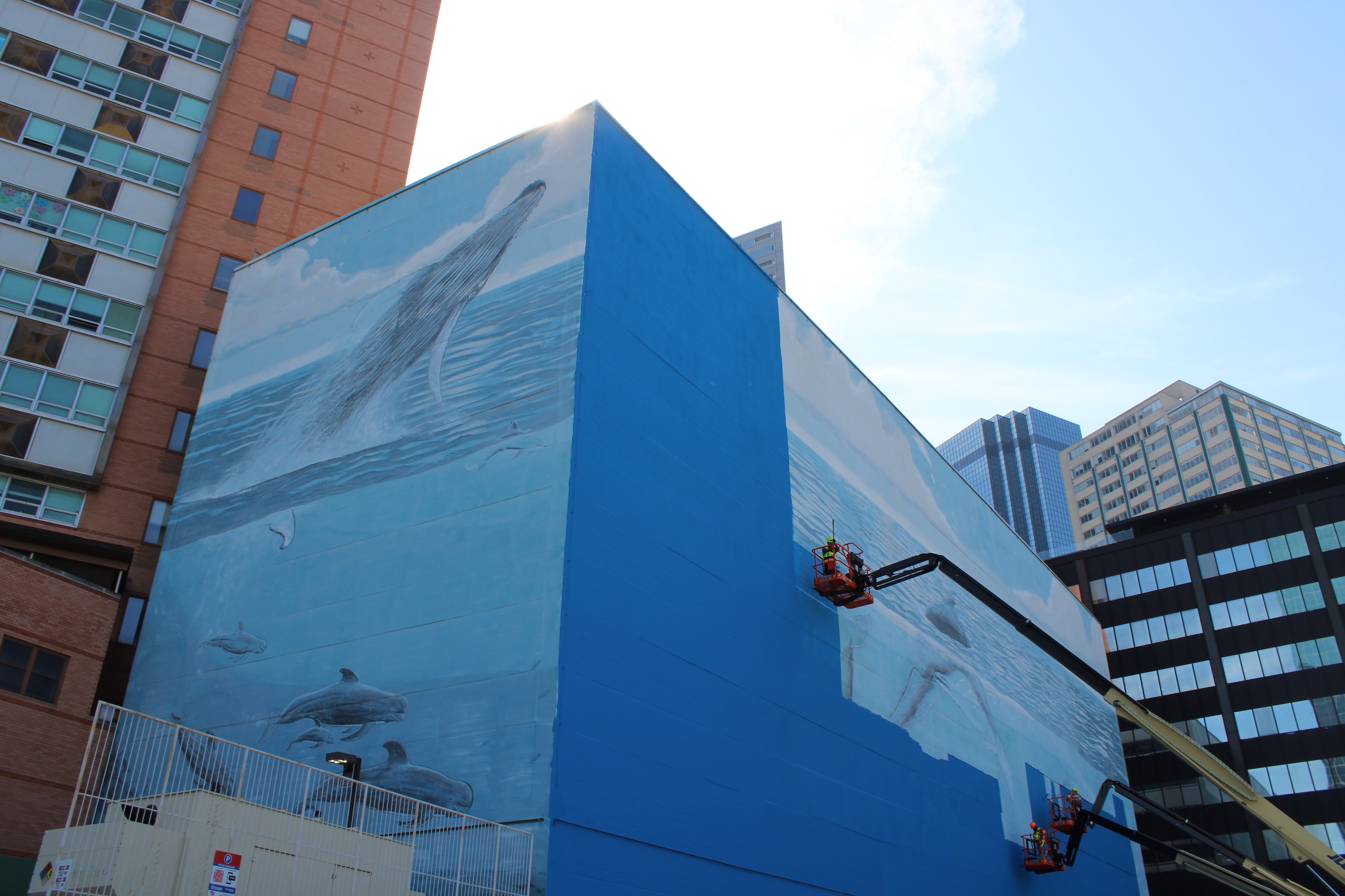 Dallas covers whale wall ahead of FIFA World Cup